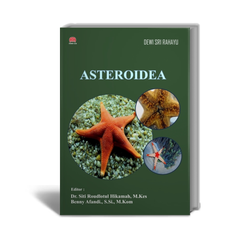 Asteroidea | Adab Store